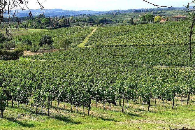 PRIVATE TOUR "Sweet Hills of Chianti and San Gimignano" with Lunch & 2 Tastings - Final Thoughts