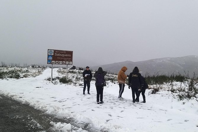 Private Tour through Serra da Estrela Park and its famous cheese - The Sum Up