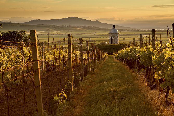 Private Tour to Czech Wine Regions - Lednice and Valtice - Final Thoughts