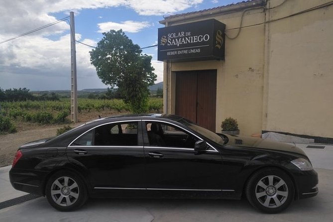 Private Transfer from Biarritz to Bilbao Cruise Port - Who Is This Transfer Best For?