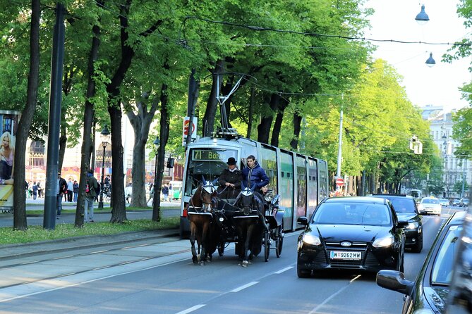 Private Vienna Sightseeing Tour matching to personal interests - Final Thoughts