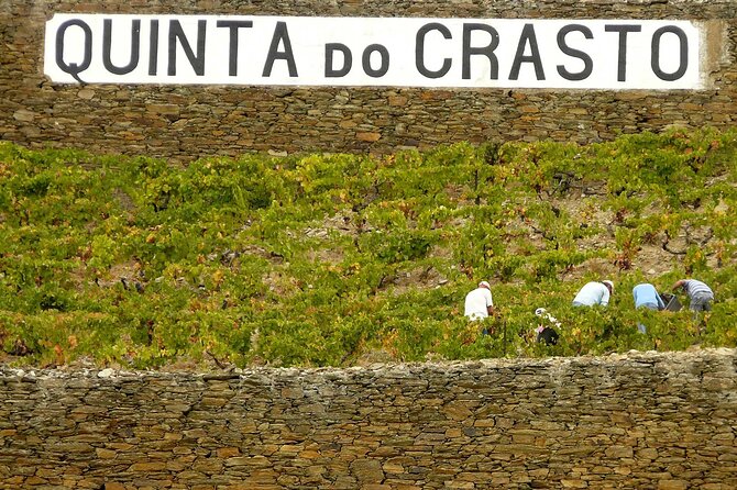 Private Wine & Food Tour in Douro - Final Thoughts: Who Should Consider This Tour?