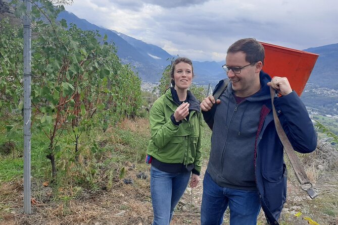 Private Wine Tour: Terraced Vineyards with Alpine view from Milan - The Sum Up