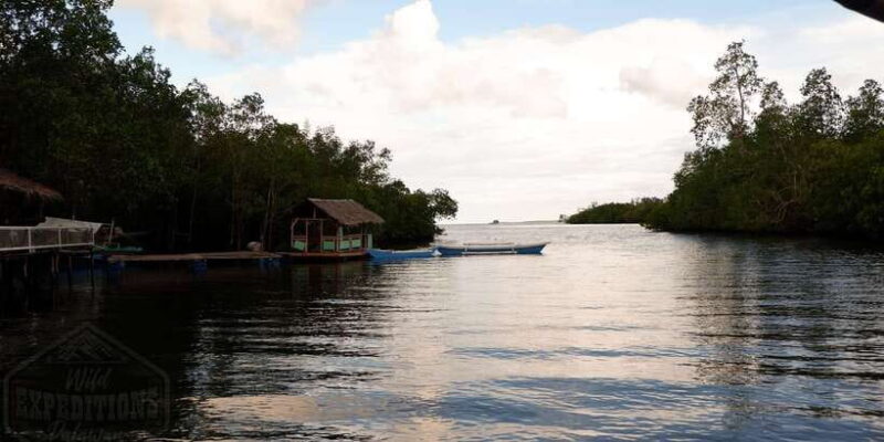 Puerto Princesa: Firefly Watching Paddle Boat Tour & Dinner - What We Like and What to Consider