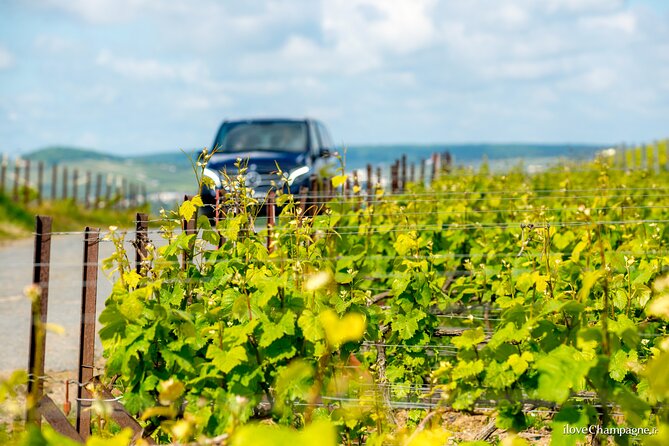 Reims or Epernay: Full day Champagne Mumm, family grower & lunch - Final Thoughts