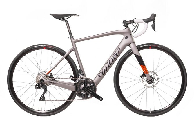 Rental bicycles - Who Should Consider This Rental Service?