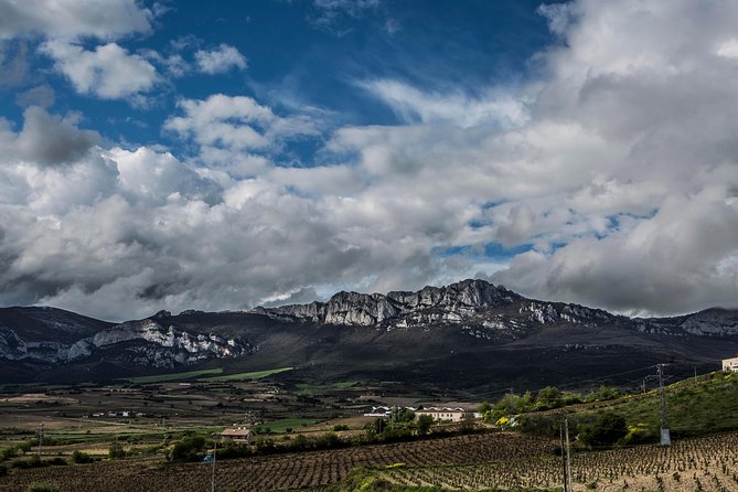 Rioja Wine Tour: 2 Wineries From Pamplona - The Value in the Details