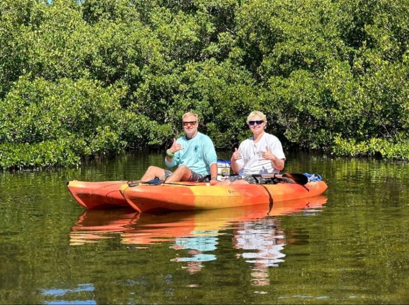 Robinson Preserve Mangrove Tour - The Value of the Tour