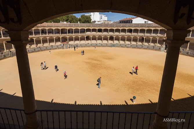 Ronda private tour from Seville - Who Should Book This Tour?