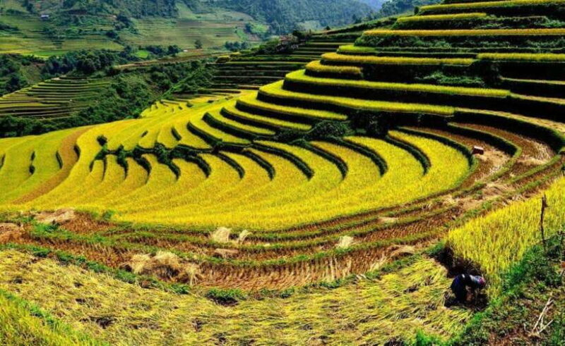 Sa Pa: 2-Day Trekking Tour with Ethnic Minority Homestay - The Sum Up: Who Is This Tour Best For?