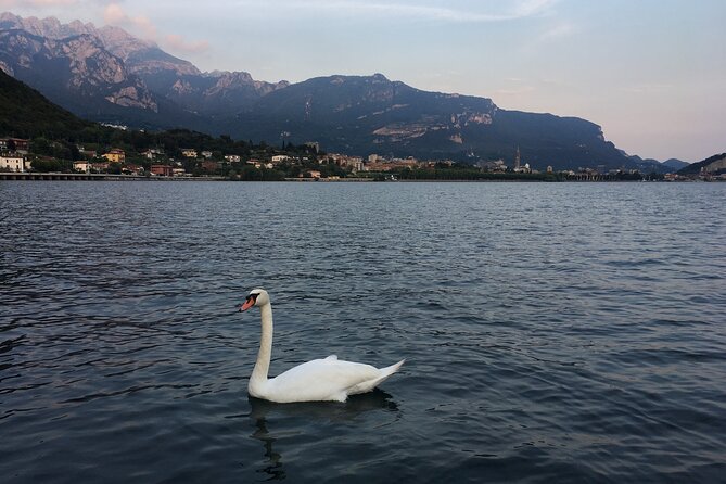 Sailing at Sunset on Lake Como: How to escape from daily routine - Who Will Appreciate This Tour?