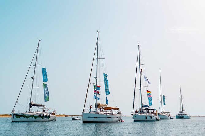Sailing Experience in Lisbon - Portugal - The Sum Up