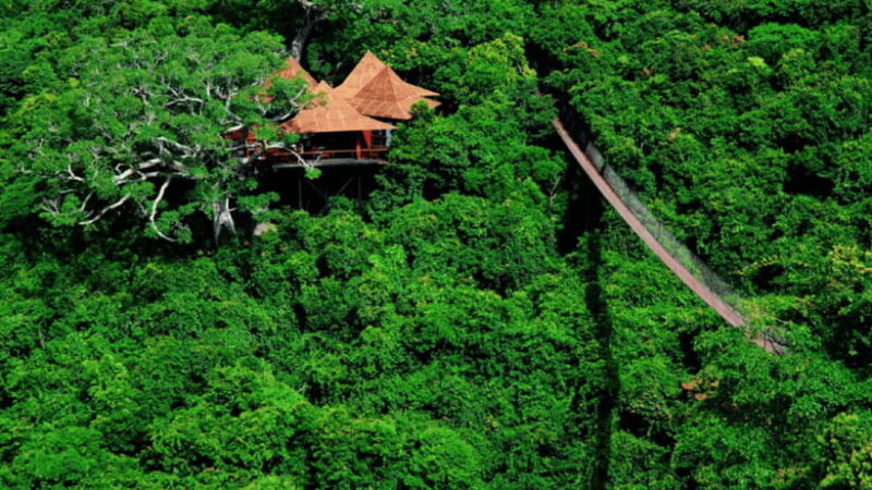 Sanya: Yalong Bay Tropical Forest Ticket and Tour Car - The Sum Up