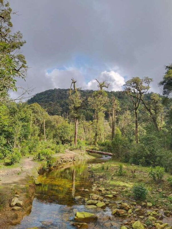SAPA : Climb up to Fansipan mountain with LOCAL GUIDE - FAQs