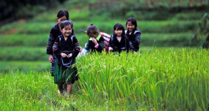 Sapa: Half Day Treck To Visit Y Linh Ho , Lao Chai, Ta Van - Final Thoughts