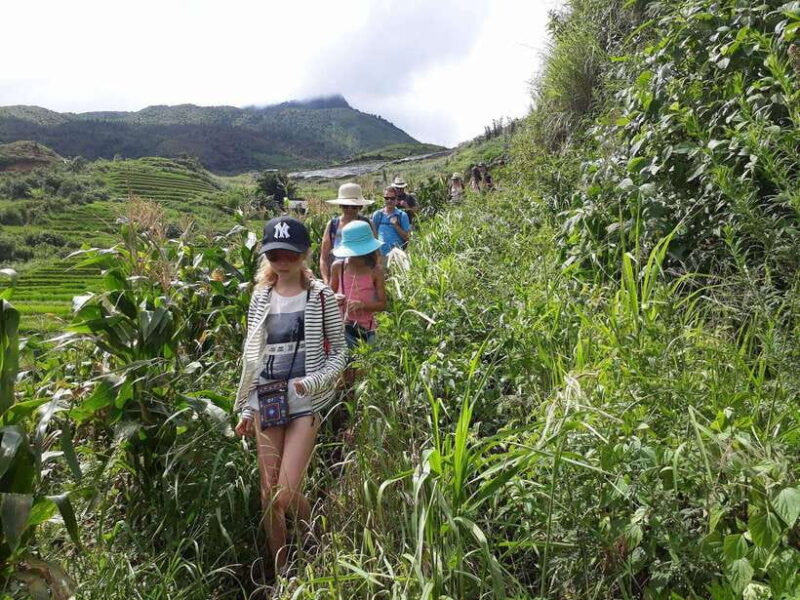 Sapa: Love Silver Waterfall, LonelyTree in Heaven-Rice Field - FAQ