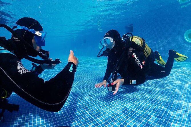 Scuba Diving Experience for Beginners in Ponta de São Lourenço - Why This Tour Works Well