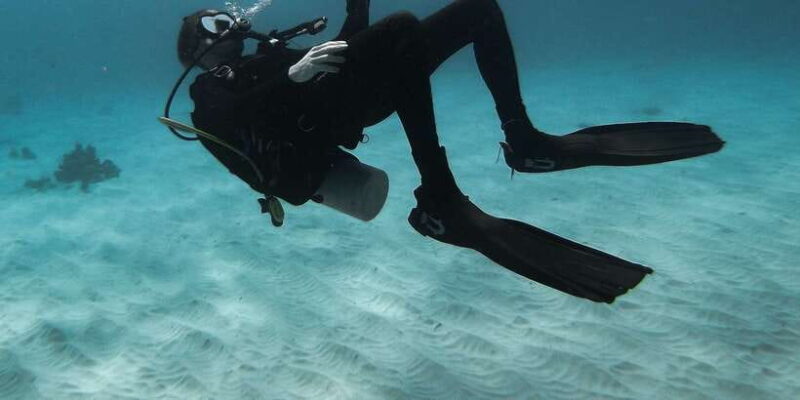 Scuba Diving in Hikkaduwa - Practicalities, Pricing, and Value