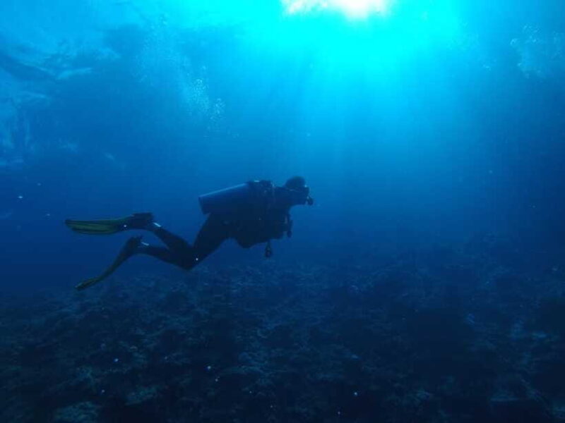 Scuba Diving in Unawatuna - Practical Tips for Your Dive