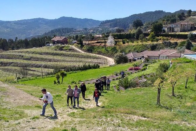 Selection Tasting | Quinta de Santa Cristina Vinho Verde - FAQs