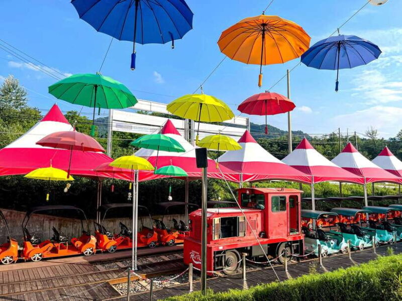 Seoul: Alpaca World & Nami Island (+Gangchon Railbike) - Is It Good Value?