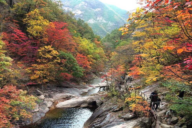 Seoul: Mt Seorak(Cable Car)+Sokcho Beach&Market+Observatory - Who Is This Tour Best Suited For?
