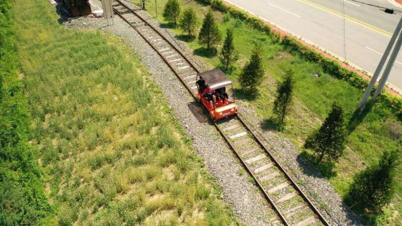 Seoul: Nami Island and Garden of Morning Calm (+Railbike) - Who Is This Tour Best For?