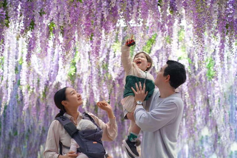 Seoul: Nami Island & Railbike & Begonia Bird Park Day Tour - FAQ