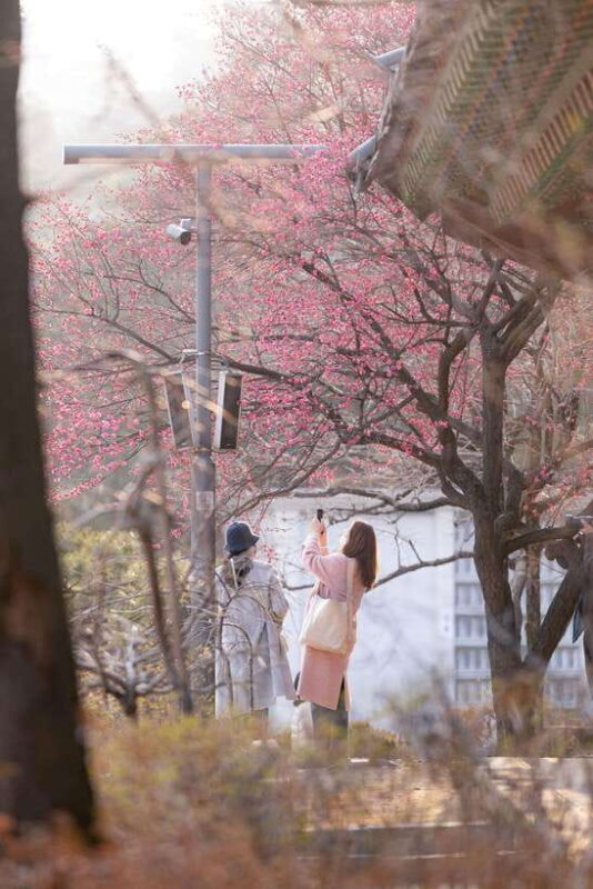 Seoul: Private chartered vehicle Staria van City Tour - Who Should Consider This Tour?
