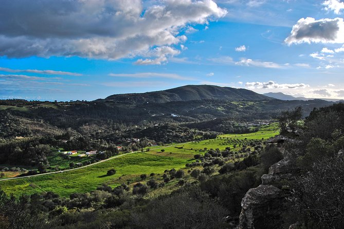 Setúbal Private Tour - Including Dolphin Watching - Authentic Experiences & Authenticity Checks