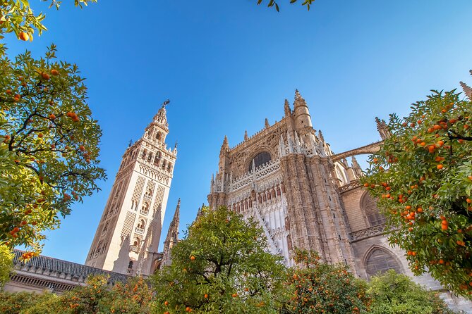 Seville Highlights in One Day by AVE High speed Train from Madrid - Return Journey: Relaxed and Efficient