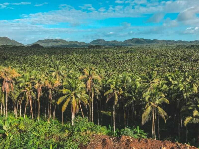 Siargao Tour D (Private Tour) - Final Thoughts