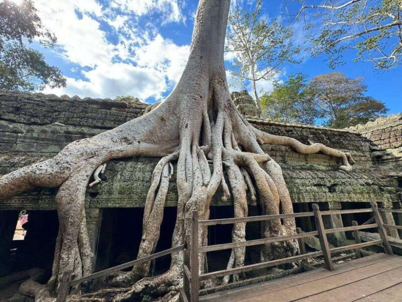 Siem Reap: 1-Day Angkor Group Tour with Italian Guide - Why This Tour Works for You