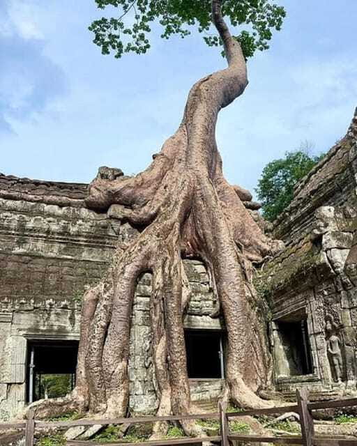 Siem Reap: 1-Day Group Tour of Angkor in Spanish with Expert Tour Guide - Value and Cost Analysis