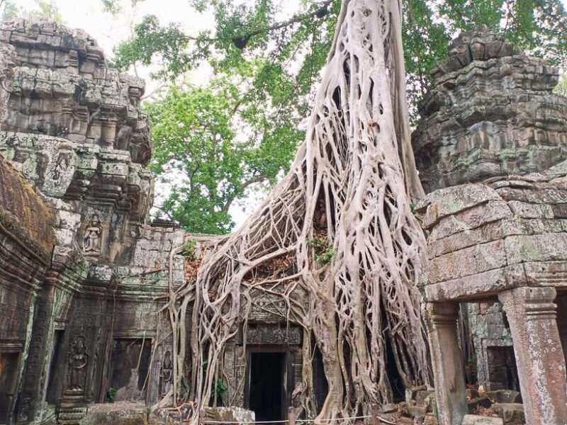 Siem Reap: 4 Hour-Ta Prohm and Banteay Kdei Guided Tour - Final Thoughts: Is It Worth It?