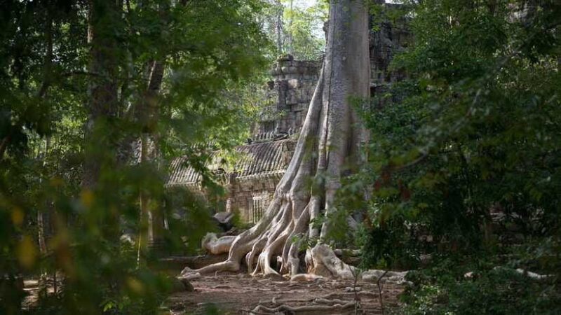 Siem Reap: Angkor Temples Off-Track Bicycle Tour - Authentic Experiences and Genuine Encounters