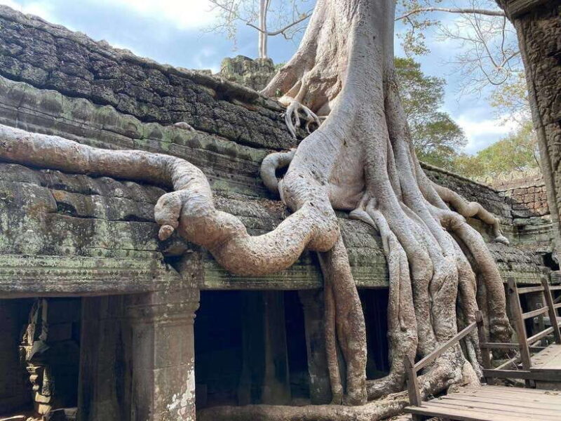 Siem Reap: Angkor Wat Small-Group Day Tour - What to Bring and What to Consider