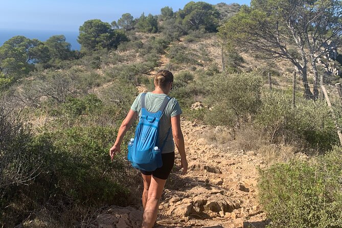 Sierra de Tramuntana hike with transportation and small picnic - Who Will Love This Tour?