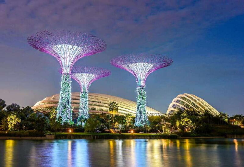 Singapore: Gardens by the Bay Bundle Entry Ticket - The Sum Up: Who Will Love Gardens by the Bay?