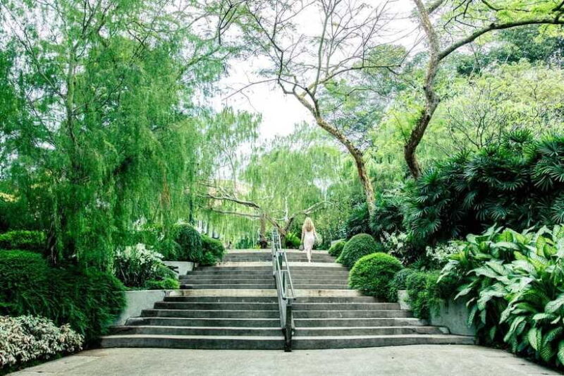 Singapore: Half-Day City Tour with Hotel Transfer - Who Is This Tour Best Suited For?