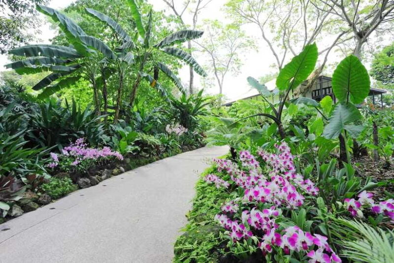 Singapore: National Orchid Garden Entry Tickets - Authentic Feedback from Visitors