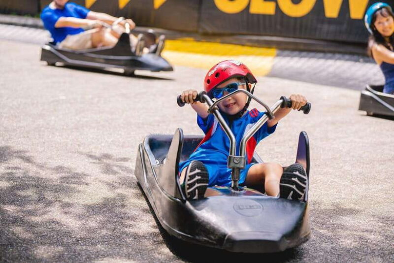 Singapore: Skyline Luge Sentosa Entry Ticket - The Experience for Different Types of Travelers