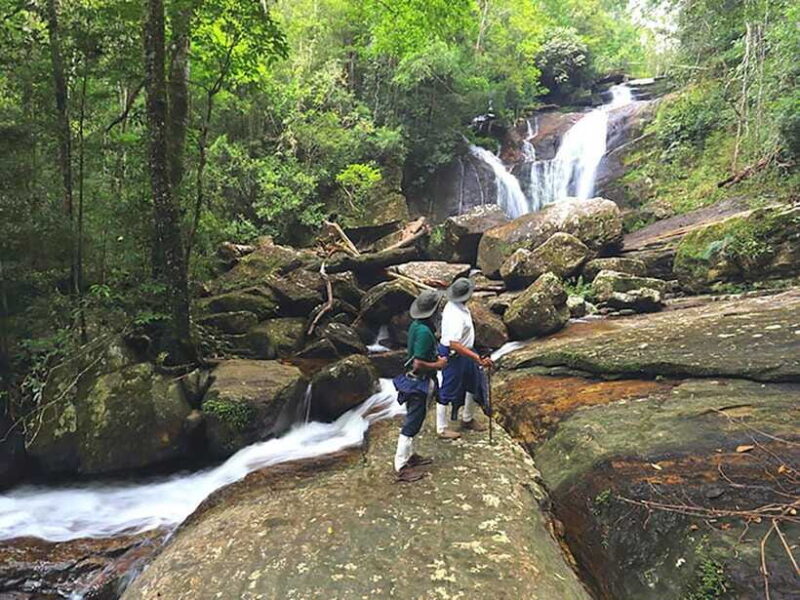 Sinharaja Rain Forest UNESCO Walk and Bird Watching Day Tour - The Sum Up