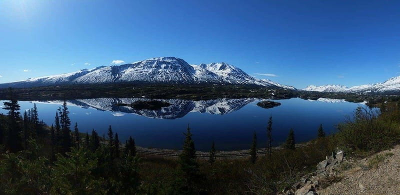 Skagway: Klondike Highway & Yukon Bus Tour with Husky Kennel - The Practical Side: Transportation, Timing, and Cost
