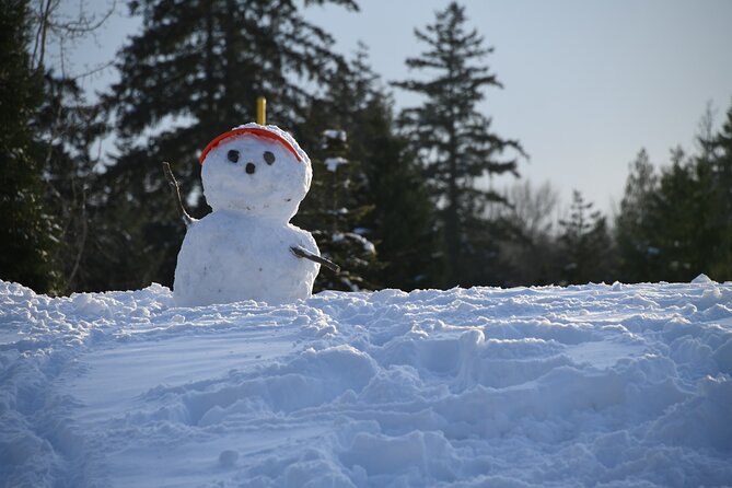 Ski & Snow Tour to Bakuriani from Kutaisi with Borjomi Stop - Why This Tour Works