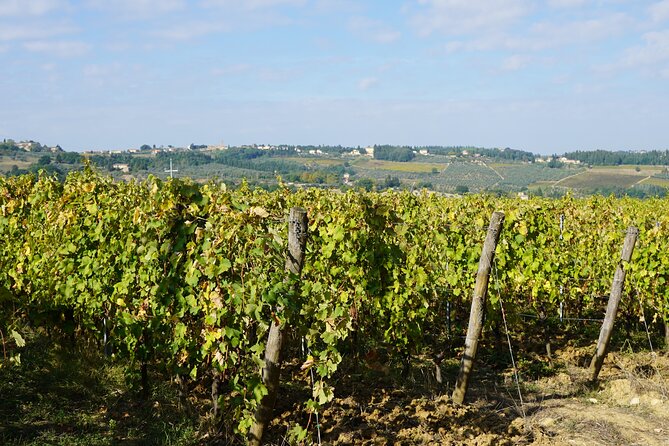 SMALL GROUP Chianti 2 wineries & meat feast @ Dario Cecchini - Final Thoughts