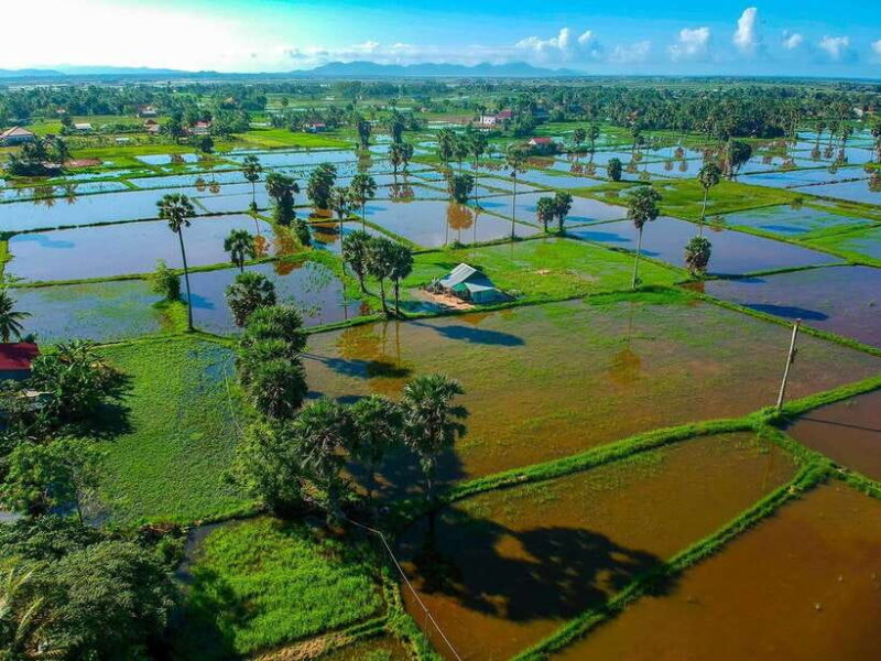 Small Group Tour: One Day Phnom Penh to Kampot & Kep - The Return Journey and Final Impressions