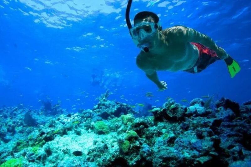 Snorkeling in Port City - The Experience: Who It’s For and Who Might Not Enjoy It