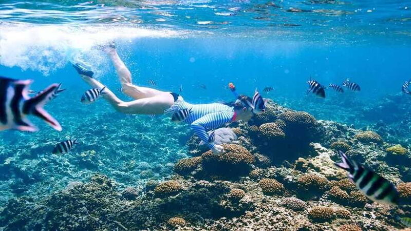snorkling explore - FAQ