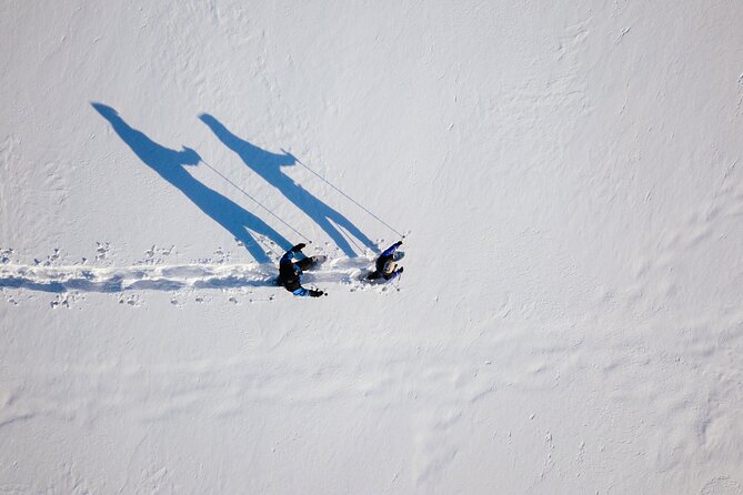 Snowshoe Walk to the Arctic Nature, Apukka Resort Rovaniemi - Who Might Want to Think Twice